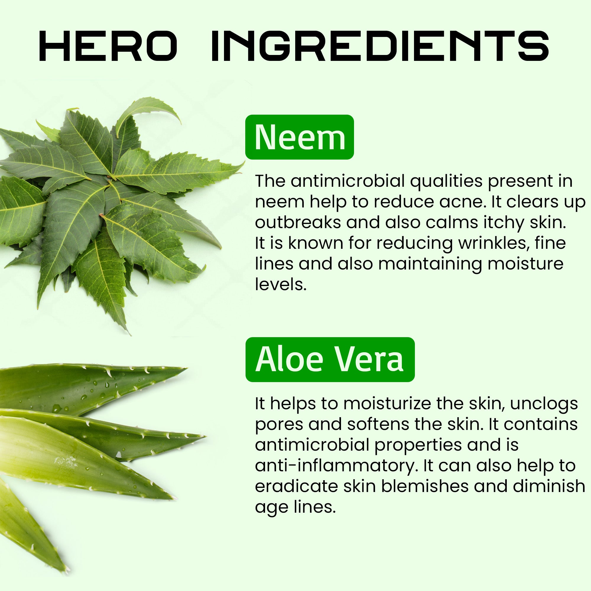 Neem Herbal Bath Soap – Earthgenix Pro Private Limited